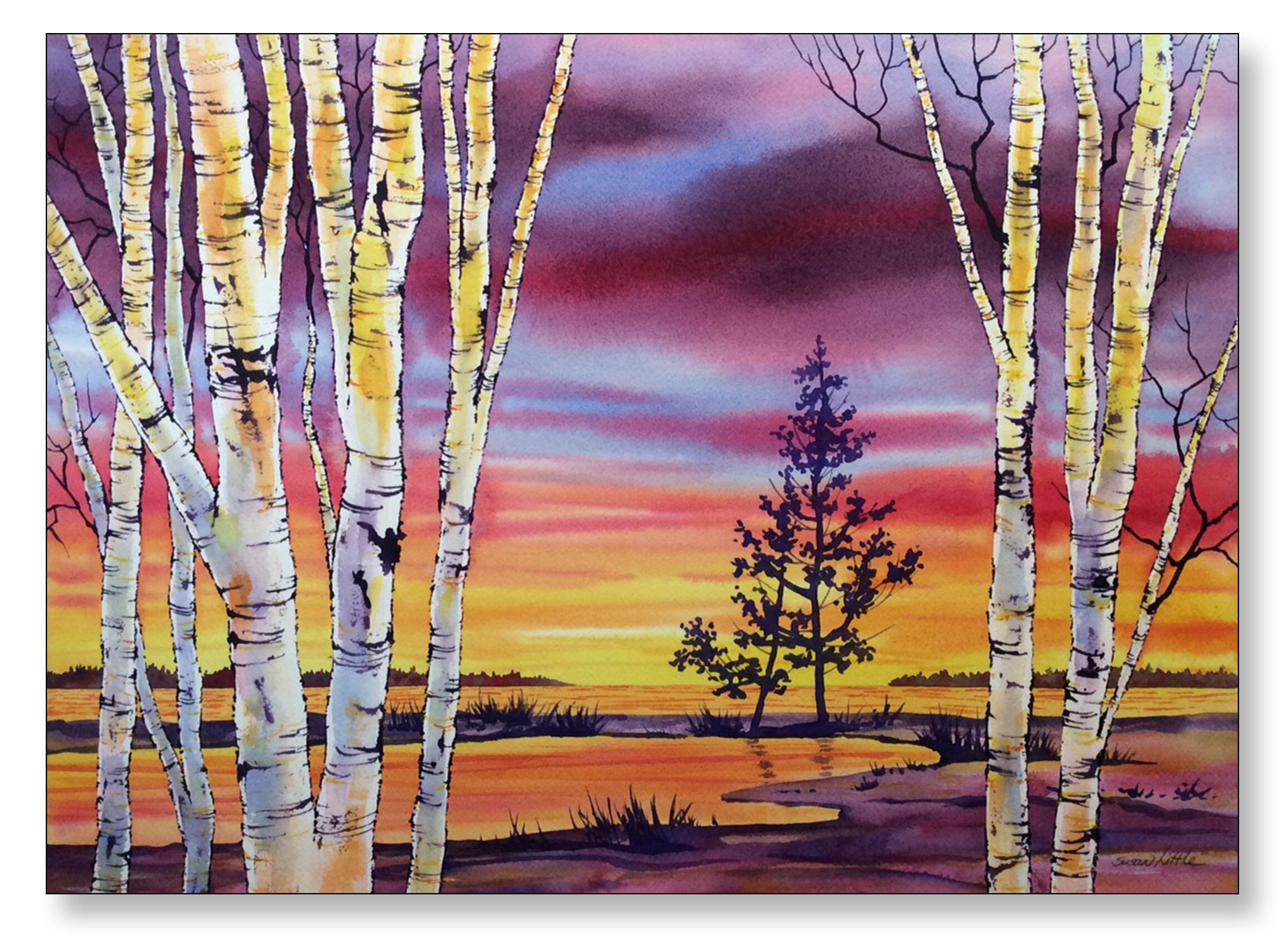 Blog #15 Branching Out - Susan Little Watercolour & Acrylic Paintings