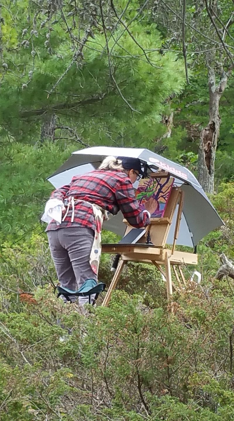 Blog #22 Embellished and Improved! - Susan Little Watercolour & Acrylic ...